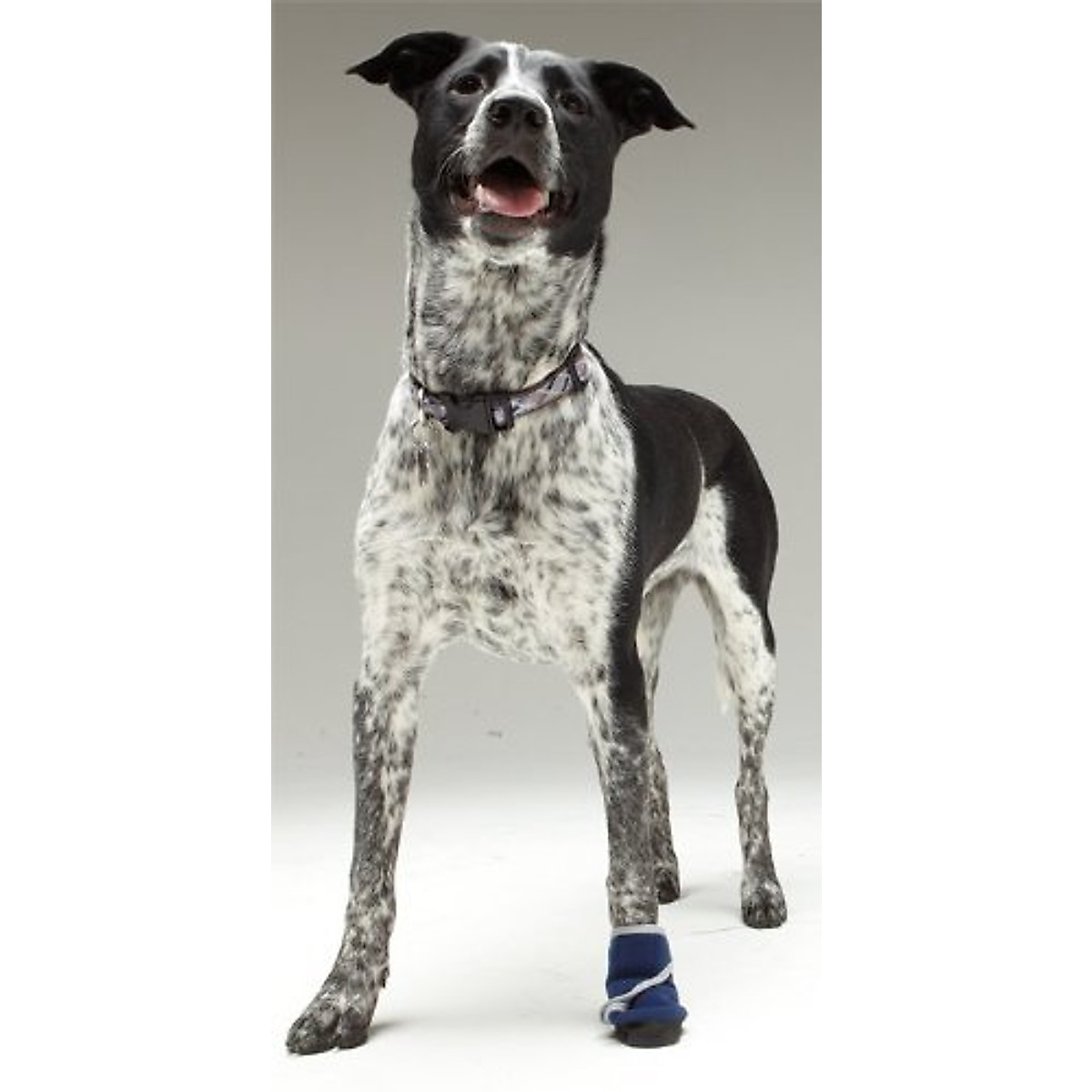 HEALERS PetCare Medical Dog Bootie, Single Unit - Blue