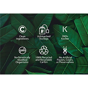 Buddha Teas Organic Eucalyptus Tea - OU Kosher, USDA Organic, CCOF Organic, 18 Bleach-Free Tea Bags