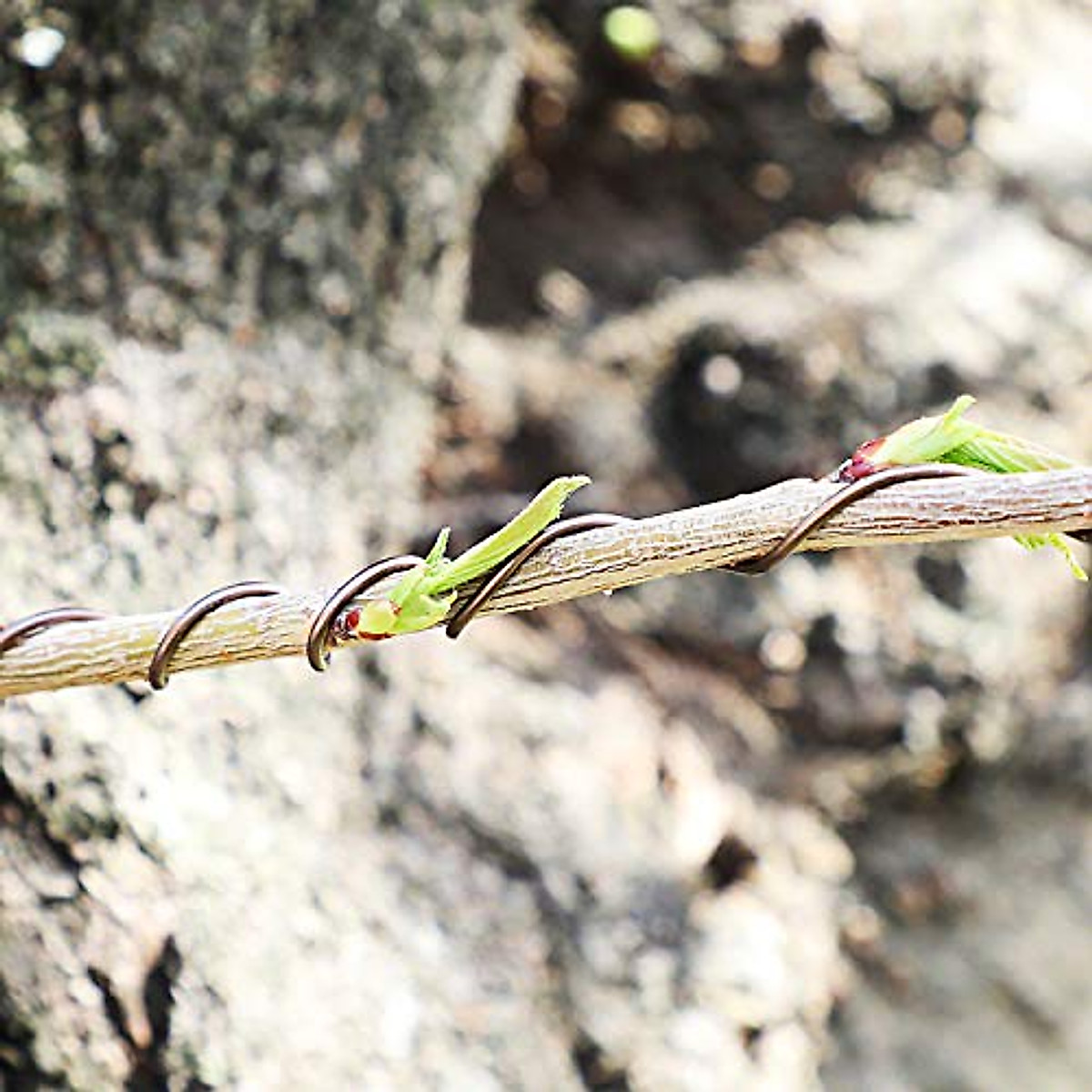 Wazakura Anodized Aluminum Bonsai Wire Kit 2 Sizes (5.0mm + 6.0mm) Made in Japan, 2 Roll Bonsai Training Wire Starter Set - 5.0mm & 6.0mm, Brown