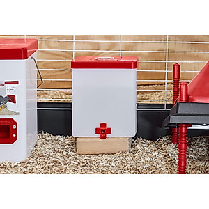 RentACoop 64oz(2L) Drinker Plus 2 Versatile Nipples - Suitable for Chicks, Quail, Pigeons, Doves, and Other Smaller Birds - 1 Pack