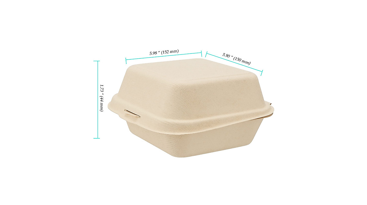 NINGWAAN 100 Pack 6x6 Inch Takeout Containers with Hinged Lid