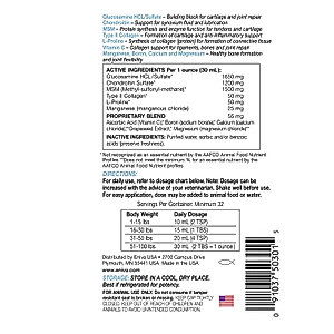 Liquid Glucosamine for All Dogs by Eniva | Hip, Joint, Bones & Teeth, Professional Extra Strength Liquid, Glucosamine, Chondroitin, MSM, Collagen, VIT C, Calcium, Antioxidants | USA Made– 32oz