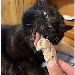 Ancestral Hunter Freeze Dried Chicken Necks for Dogs & Cats - Made in USA- Healthy Chicken Neck Treats for Dogs- Freeze Dried Raw Chicken Necks for Dogs