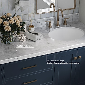 ARIEL 67" Midnight Blue Double Bathroom Vanity with 1.5" Edge Italian Carrara Marble Countertop & Splash, 2 Oval Sinks, 4 Soft Closing Doors, 6 Full Extension Dovetail Drawers, Satin Brass