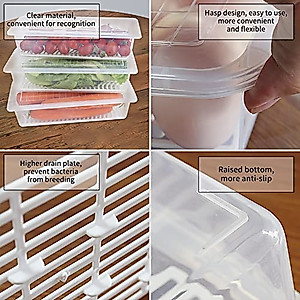 77L Food Storage Containers, (3-Pack) Plastic Food Container with Removable Drain Plate and Lid, Stackable Portable Freezer Storage Containers - Tray to Keep Fruits, Vegetables, Meat and More (Medium)