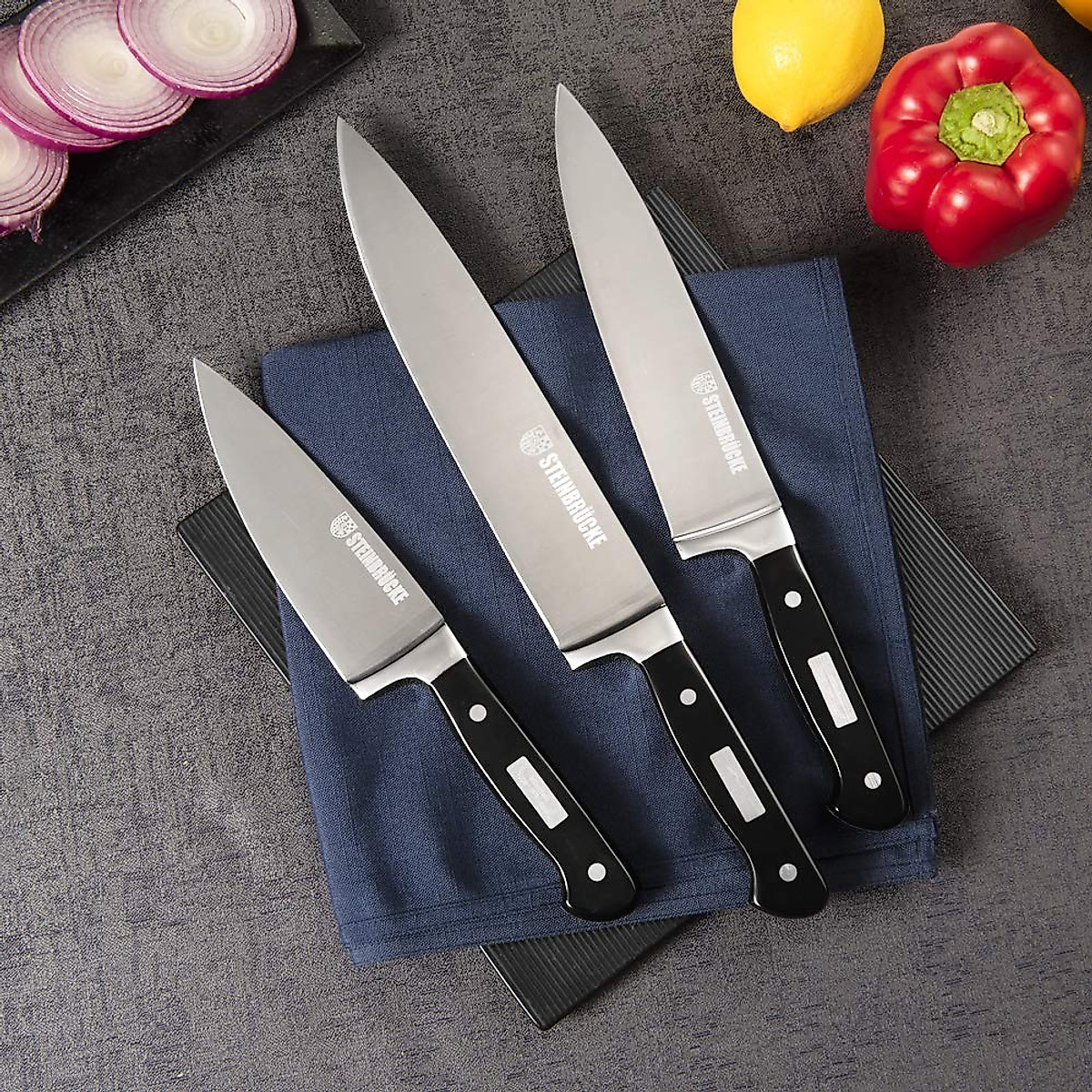 STEINBRÜCKE Chef Knife 10 Inch, Sharp Kitchen Knife Forged from German High Carbon Stainless Steel with Ergonomic Handle and Full Tang, Versatile Cooking Knife for Home Gourmet Restaurant