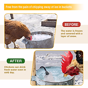 comincia Heated Chicken Waterer Deicer,Thermostatic Control Chicken Water Heater Mini Size Water De-icer for Poultry (500W, White)