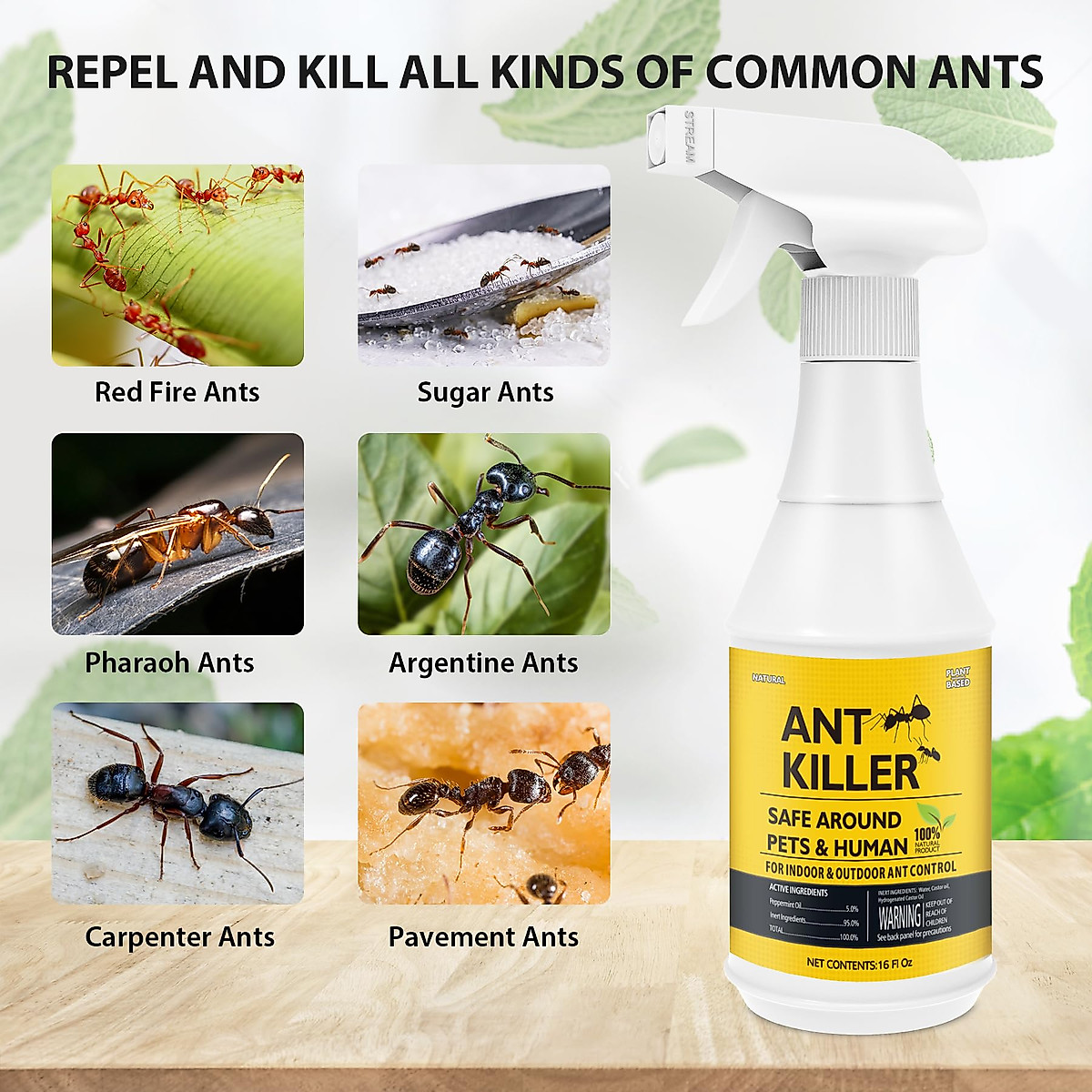BugBai Peppermint Oil Ant Killer & Repellent Spray Outdoor, 16OZ Natural Ant Spray Indoor Home Kitchen Safe for Pets and Kids, Powerful Carpenter Ant Killer to Kill & Get Rid of Ants Permanently