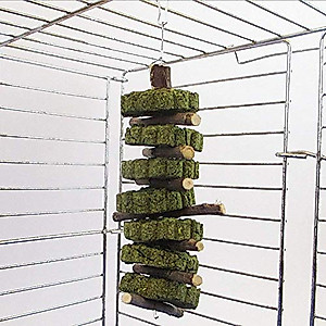 Rabbit Hamster Chew,lEIsr00y Rabbit Bunny Hamster Teeth Health Apple Wood Stick Grass Hay Cake Heart Chew Toy - Wood Color