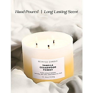 Vanilla Cedarwood Forest Candle - Large 3 Wick Scented Candle - Winter Balsam Fir Candle with Clove & Cedar - Natural Soy Candle for Home 15.8 oz - Aromatherapy Holiday Candle Gift for Women & Men