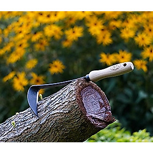 DeWit Right Hand Japanese Hand Hoe, Handheld Gardening Tool to Remove Grass, Weeds, and More