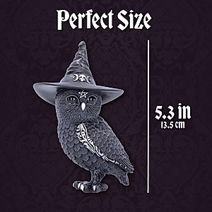 Nemesis Now Cult Cuties Adorable Occult Figurines, Bewitching Evil Spirit Creatures, Hand-Painted, Resin - Owlocen