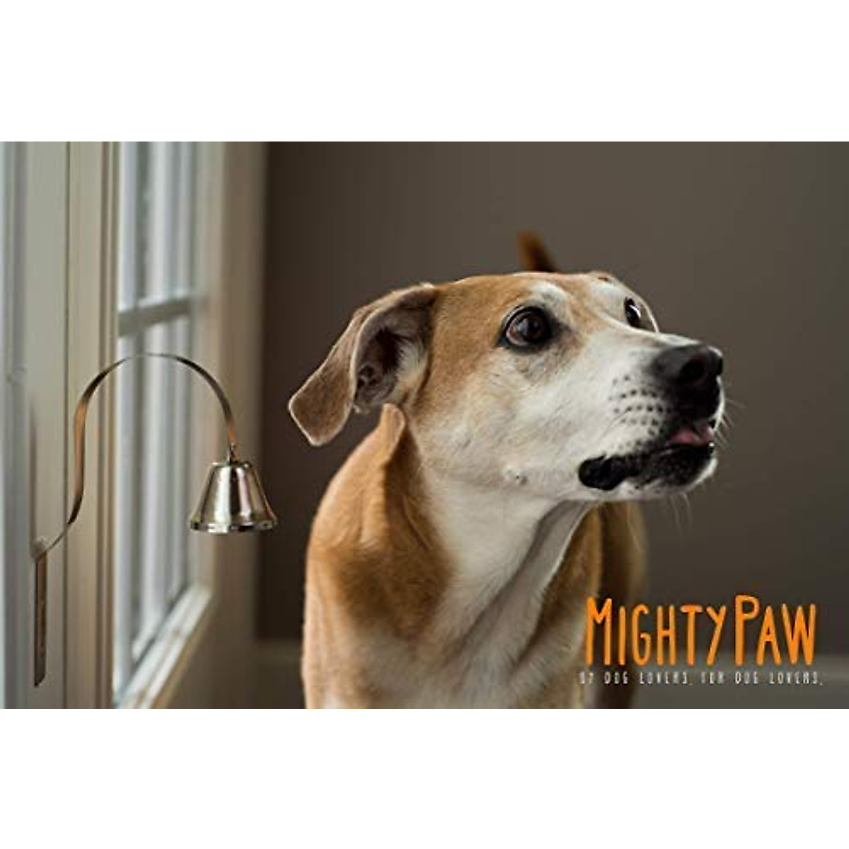 Mighty Paw Metal Potty Bell, an All Metal Dog Doorbell with Sleek Silver Bell and Support, The Thick-Walled Durable Bell Optimizes Sound Quality. Includes Free Training Tips