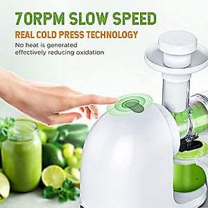 Cold Press Juicer Machine with Ceramic Auger, Slow Masticating Juicer 95% Juice Yield with Reverse Function, Quiet Motor Extractor, Easy to Clean Brush,Fruit Juicer, Vegetable Juicer