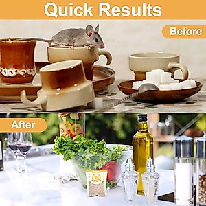 10 Pack Natural Mouse Repellent Pouches Peppermint Oil to Repel Mice and Rats, Rodent Repellent Pest Control Pouches Mice Repellent for House Mouse Deterrent Indoor