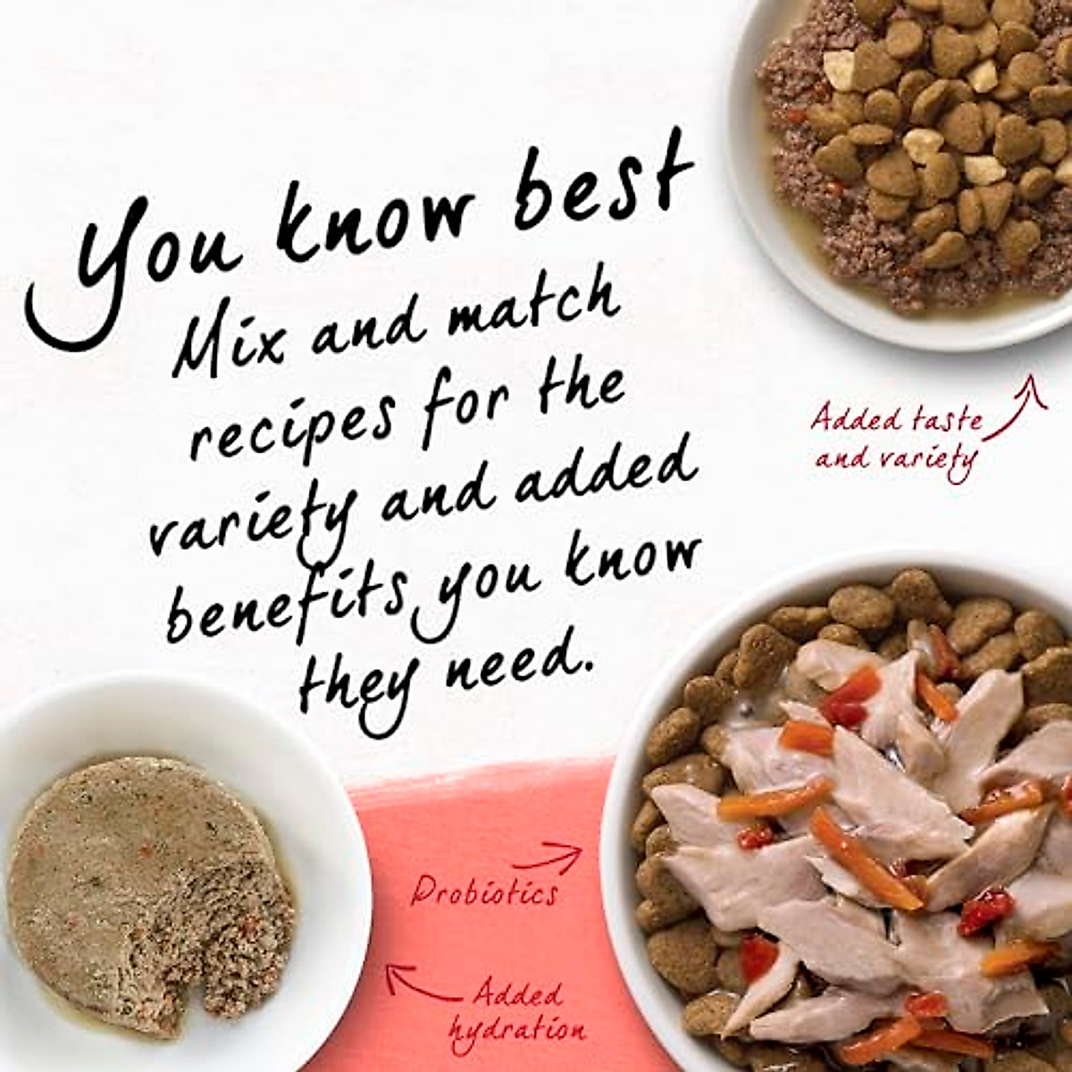 Purina Beyond Natural Wholesome Ingredients for Whole Health Dry Cat Food Salmon and Whole Brown Rice Recipe - 6 lb. Bag