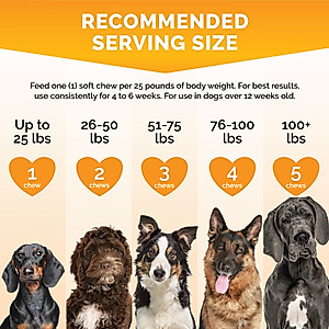 PREMIUM CARE Probiotics for Dogs for Yeast, Itchy Skin and Itchy Ears - Advanced Probiotic for Gut Health, Gut Flora, Bowel Health Support, Diarrhea, Digestive Health & Seasonal Allergies- 120 Chews