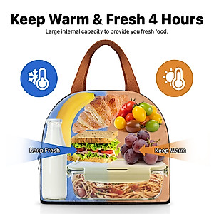 DANIA & DEAN Insulated Lunch Bag, Durable Freezable Lunch Box for Women/Men/Kids Double Zippers Wide Open Tote Bag Leakproof Thermal and Cooler Reusable Lunch Box for Office/School/Outdoor(Black)