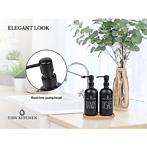 TIDY KITCHEN Premium Glass Soap Dispenser with Stainless Steel Pump, Sleek Design, Durable for Liquid Dish and Handwashing