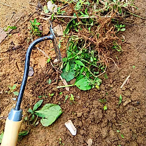 New Weeding Artifact Uprooting Weeding Tool, Upgrade Garden Weed Pulling Tool, Manganese Steel Forged Weed Puller 4 Teeth Dual Purpose Weeder with Handle for Garden Yard Farm (B-Iron Handle)