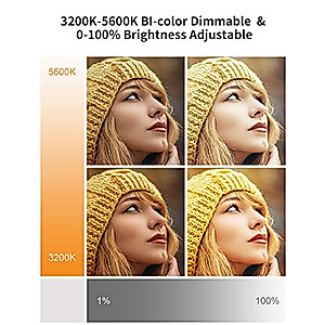 RALENO 2 Packs LED Video Light and 75inches Stand Lighting Kit, CRI 95+ Photography Lighting with 8000mAh Built-in Battery & LCD Display, Studio Lights for TikTok, YouTube, Live Streaming, Videography