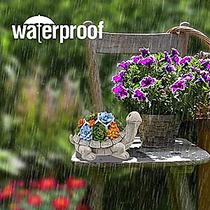 A Bundle of Solar Turtle and 2Pack Solar Lantern