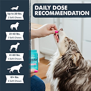 Mighty Paw Waggables Allergy Immune + Itch (Made in the USA) | Dog Allergy Chews Anti-Itch for Dogs. Dog Allergy Support Dog Vitamins for Skin and Coat Allergies. Omega 3 & Quercetin for Dogs (120 Ct)