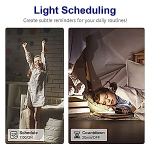 CRESTIN Smart Switch, 2.4GHz WiFi & Bluetooth Smart Light Switch Works with Alexa & Google Assistant, Neutral Wire Needed, Remote Control & Timer, Single Pole, FCC Certified, No Hub Required (1 Pack)