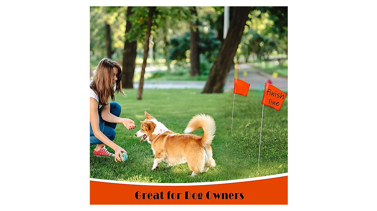 Zozen 100Pack Marking Flags - Durable Orange Lawn & Construction Flags