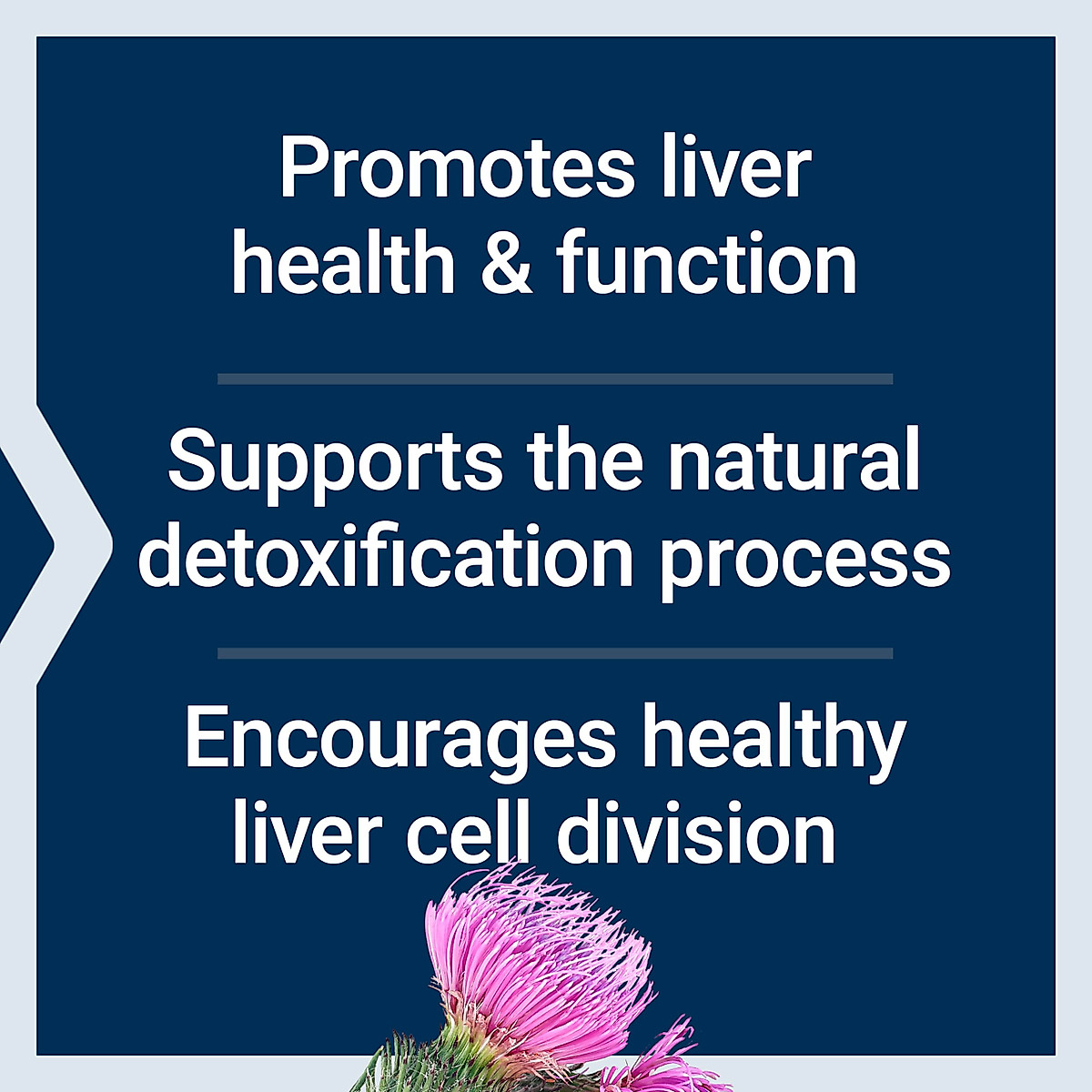 Life Extension Advanced Milk Thistle, silymarin, silybin, phospholipids, promotes healthy liver function, gluten-free, non-GMO, 60 softgels