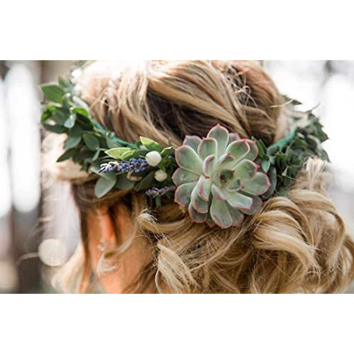 Shop Succulents | Radiant Rosette Collection of Live Succulent Plants, Hand Selected Variety Pack of Mini Succulents | 32-Pack