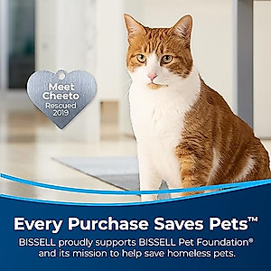 BISSELL Limited Edition Woodland Pine Multi-Surface Wash Formula Pine, large