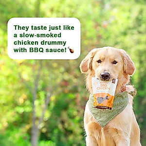 Bright Planet Pet | Better BBQ Chick'n Plant-Based Vegan Dog Treats - 6oz | Sustainable Natural Clean Label Hypoallergenic Allergy-Friendly | Low-Calorie Soft Veggie Dog Treats | Made in USA