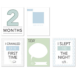 C.R. Gibson Wild Animals My First Year Milestone Book for Baby Boys by DwellStudio, 8.5'' W x 10.75'' H