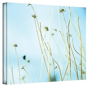 ArtWall 30 Second Daydream Wrapped Canvas Art by Mark Ross, 24 by 32-Inch