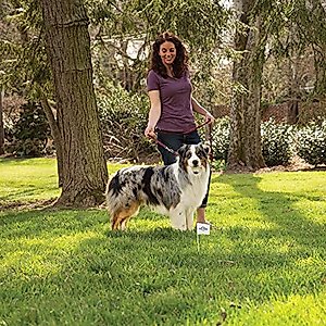 PetSafe Boundary Flags (Bundle of 50), For Use with PetSafe's Dog and Cat In-Ground Fences and Wireless Fences - From the Parent Company of INVISIBLE FENCE Brand, White, 3"x2.5" flags