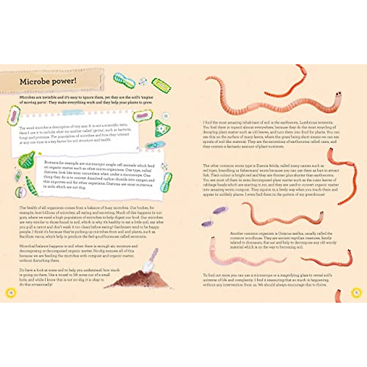 The No-Dig Children's Gardening Book: Easy and Fun Family Gardening