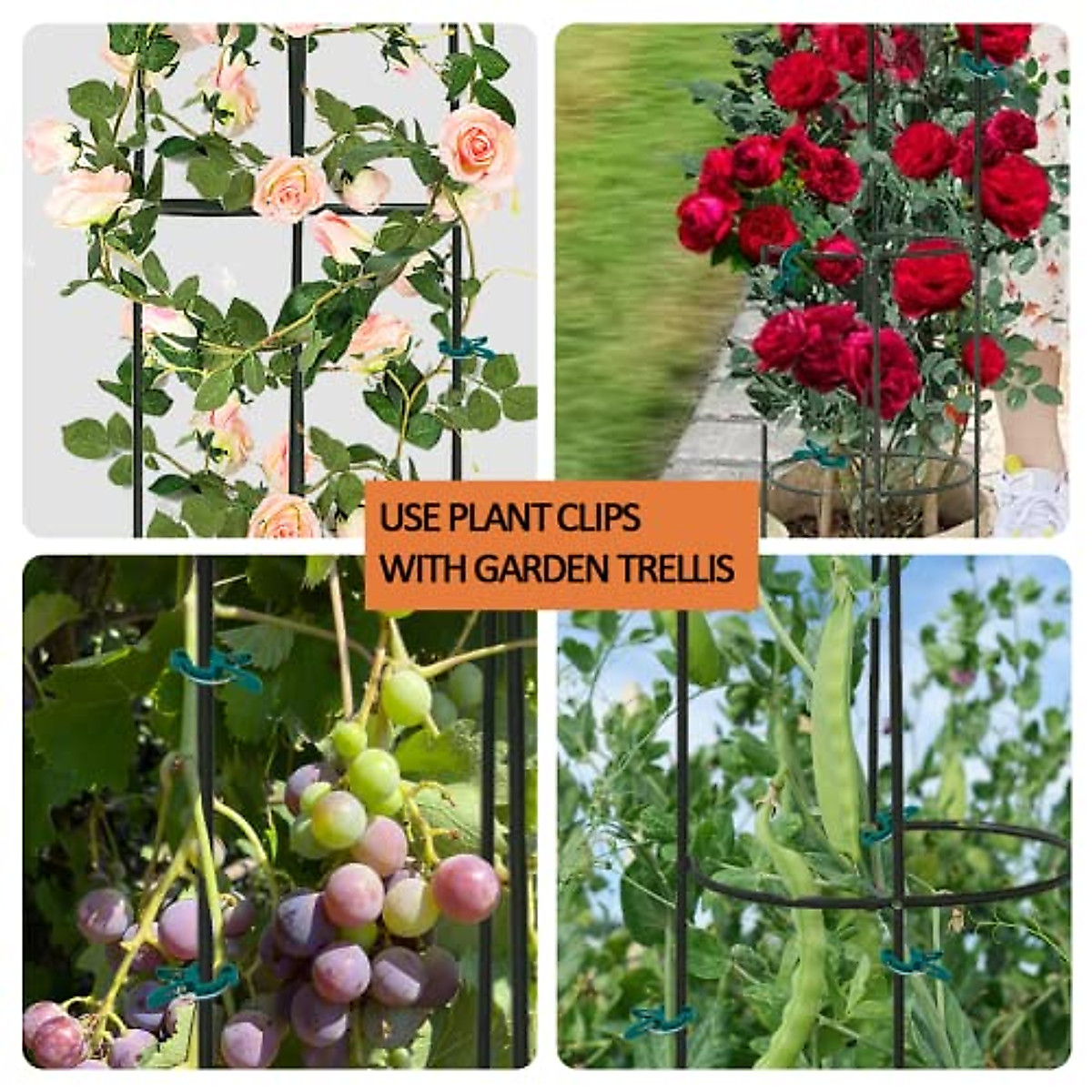 Heyfurni Metal Obelisk Trellis & Plant Clips,Garden Trellis for Climbing Plants,Plant Support for Cucumbers,Rose,Tomato,Vines,Vegetables Trellis Cage Indoor & Outdoor,40pcs Garden Clips