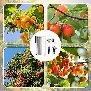 Qivine Light Bulb Changer for High Ceilings, 13ft Light Bulb Extension Pole Changer Attachments, Light Bulb Suction Cup Removal Tool Broken Bulb Extractor for Home Ceiling