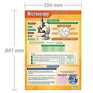 Daydream Education Microscopy | Science Posters | Gloss Paper measuring 33” x 23.5” | STEM Charts for the Classroom | Education Charts
