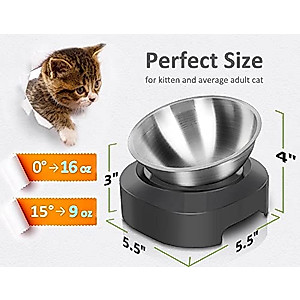 AYADA Raised Cat Food Bowl, Stainless Steel Cat Dish for Food Water Anti Vomiting Elevated with Stand Ergonomic Lifted Slanted Tilted 15 Angle Metal Single Kitty Kitten Wet Food Bowl Pet Bowl (Single)