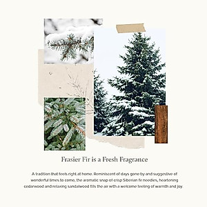 Thymes Frasier Fir Candle - Gilded Frosted Wood Grain Jar Candle - Scented Candle with a Luxury Home Fragrance - Elegant Holiday Candle - Gold Candle Lid and Gilded Gold Base (Medium, 9 oz)