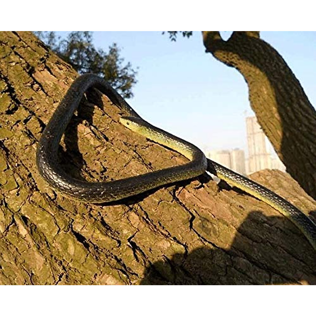 Yoogeer 47 Inches Rubber Lifelike Snakes Scary Gag Gift Incredible Creatures Chain Snakes Rain Forest Snake Toys Wild Life Snakes