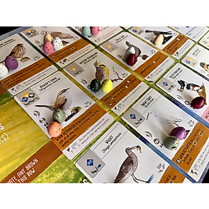 Stonemaier Games: Wingspan Speckled Eggs | Add to Wingspan (Base Game or Asia) | Enhance Your Wingspan Gameplay | 100 Speckled Eggs in 10