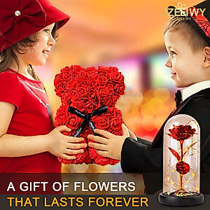 JZEEIWY Flower Rose Bear for Mom,Perfect Birthday Romantic Gift for Wife Daughter Girlfriend Friend Her,Light up Rose in Glass Dome for Birthday Anniversary Mothers Day Valentines Day