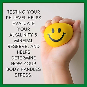 pH Testing Paper (2 Rolls) Morter HealthSystem Best Process Alkaline — Urine & Saliva Testing Paper for Alkaline & Acidity Analysis (8.33 FT - Approximately 100 Uses Per Roll)