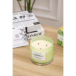 Cucumber Grapefruit Paradise Large Candle - 3 Wick Candle - Highly Scented Candle for Home 15.8 Oz - Natural Soy Candle Long Lasting, Clean Burn - Aromatherapy Stress Relief Candle for Men & Women