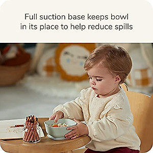 NUK for Nature™ Suction Bowl and Lid