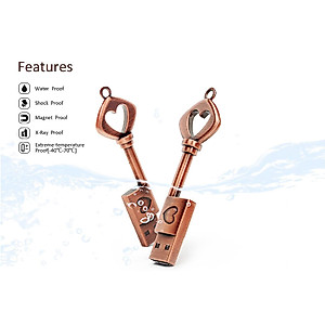 CHUYI Metal Heart Key Shape 1Pcs 64GB USB 2.0 Flash Drive Waterproof Pen Drive Memory Stick USB Flash Disk with Keychain Thumb Drive Gift