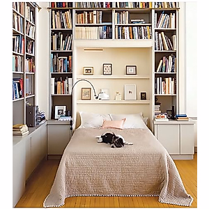 Tlongxia Murphy Bed Kit DIY Hardware with Coarse Gas Bumper Spring Frame Mattress Concealed for Semi-Automatic Foldable Cabinet Closet Bed Room Study Easy to Install (Vertical, Full)